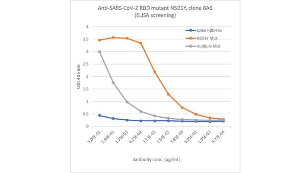 Anti-SARS CoV-2 RBD mutant N501Y Antibody, clone 8A6 | MABF3054-100UG